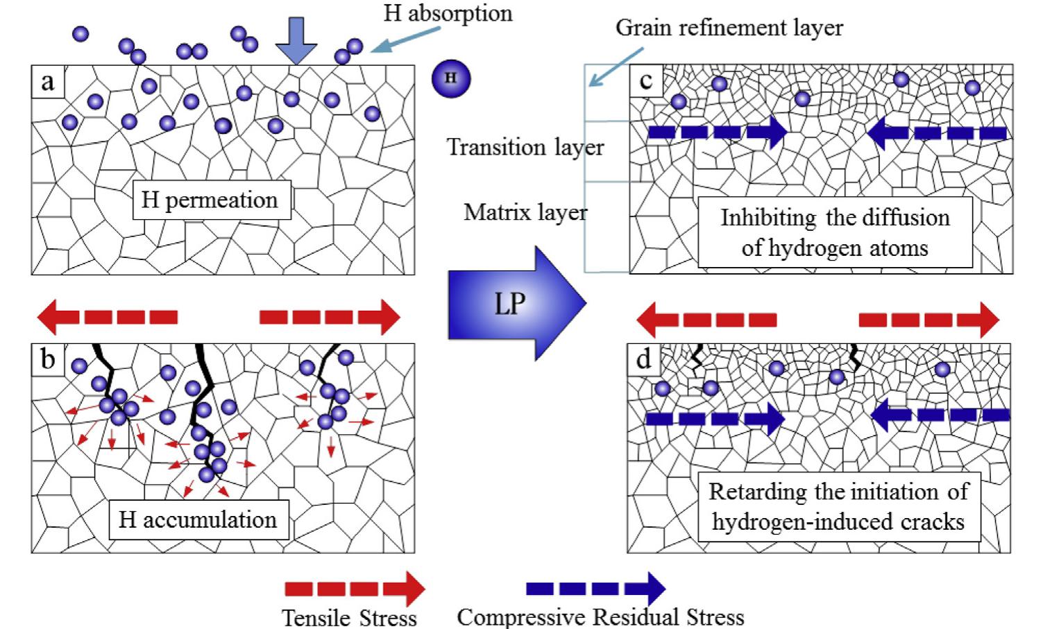 schematic of hic resistance mechanism by lp. (a) h
