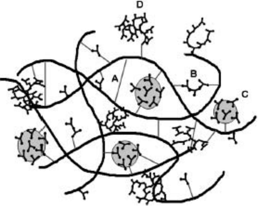 1g 4 — Cross Linked Network Structure Of Rubber Matrix