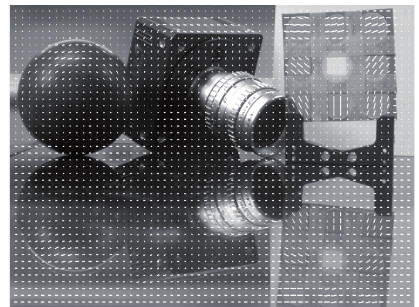 Polarization vectors overlaid on intensity image a