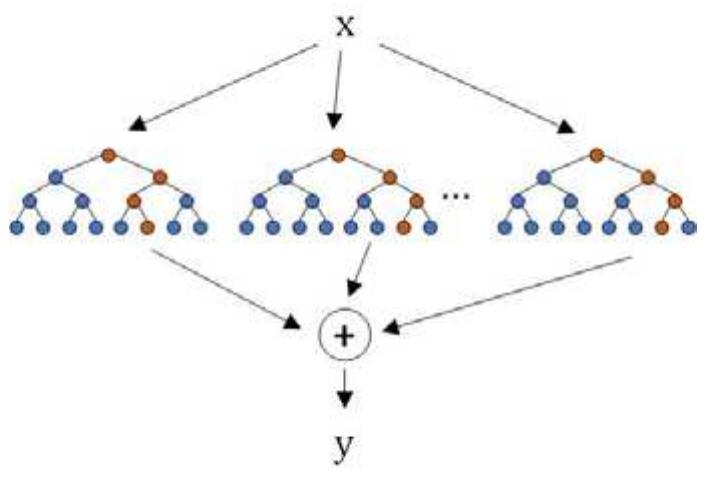 The basic structure of the random forest. popular
