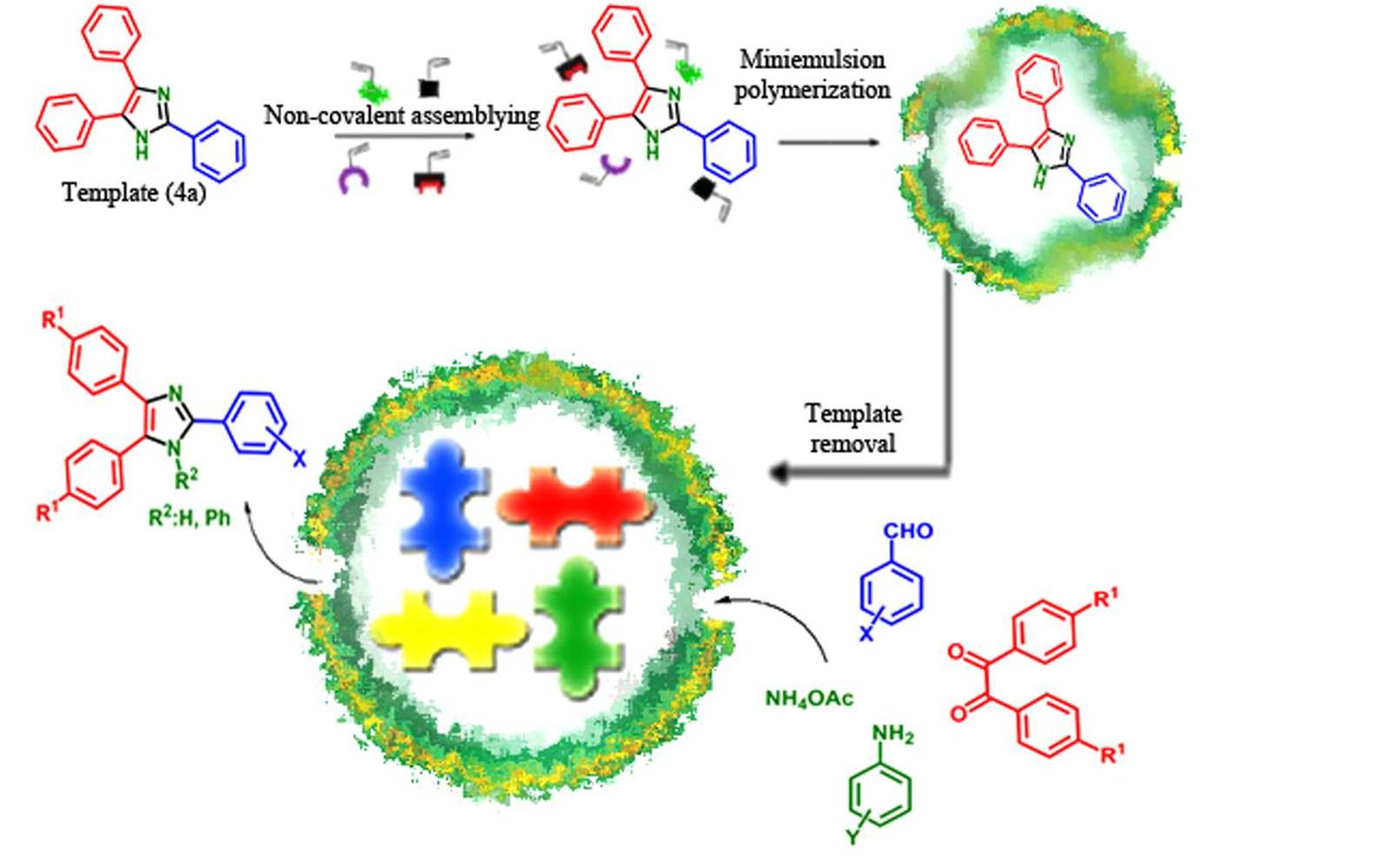 Schematic plan of mip preparation and its catalytic