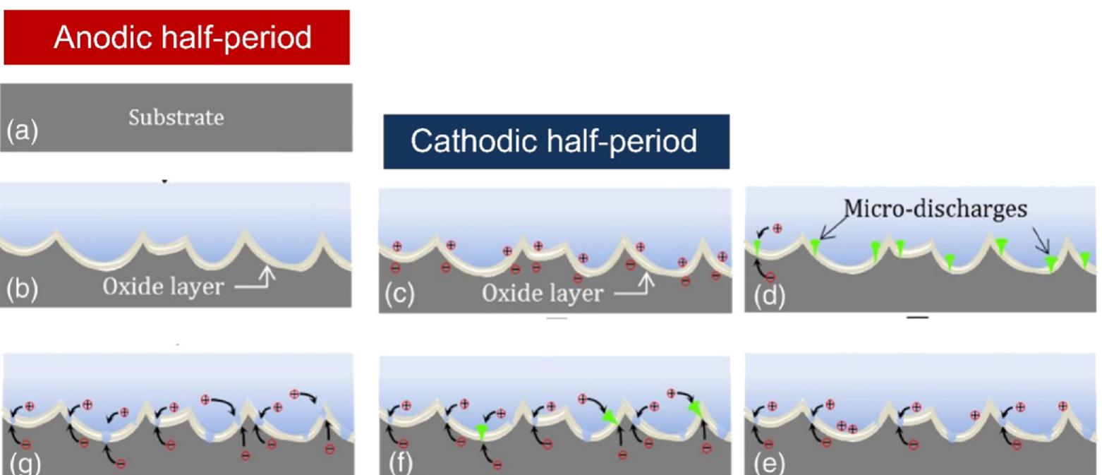 The formation of anodic and cathodic discharge during peo