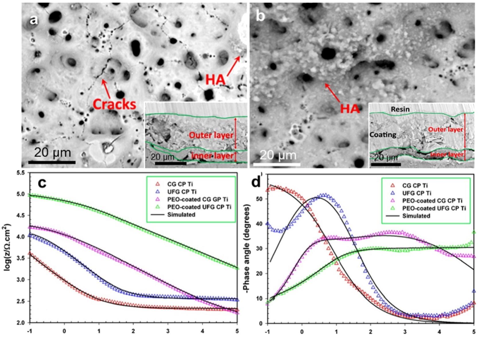 Sem images showing the morphology of peo coatings formed on