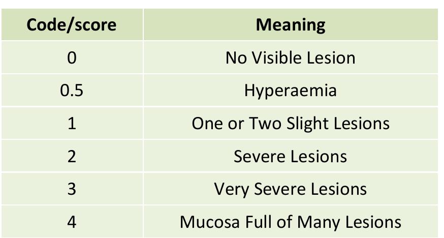 Gross scoring system for gastric ulcer determination of