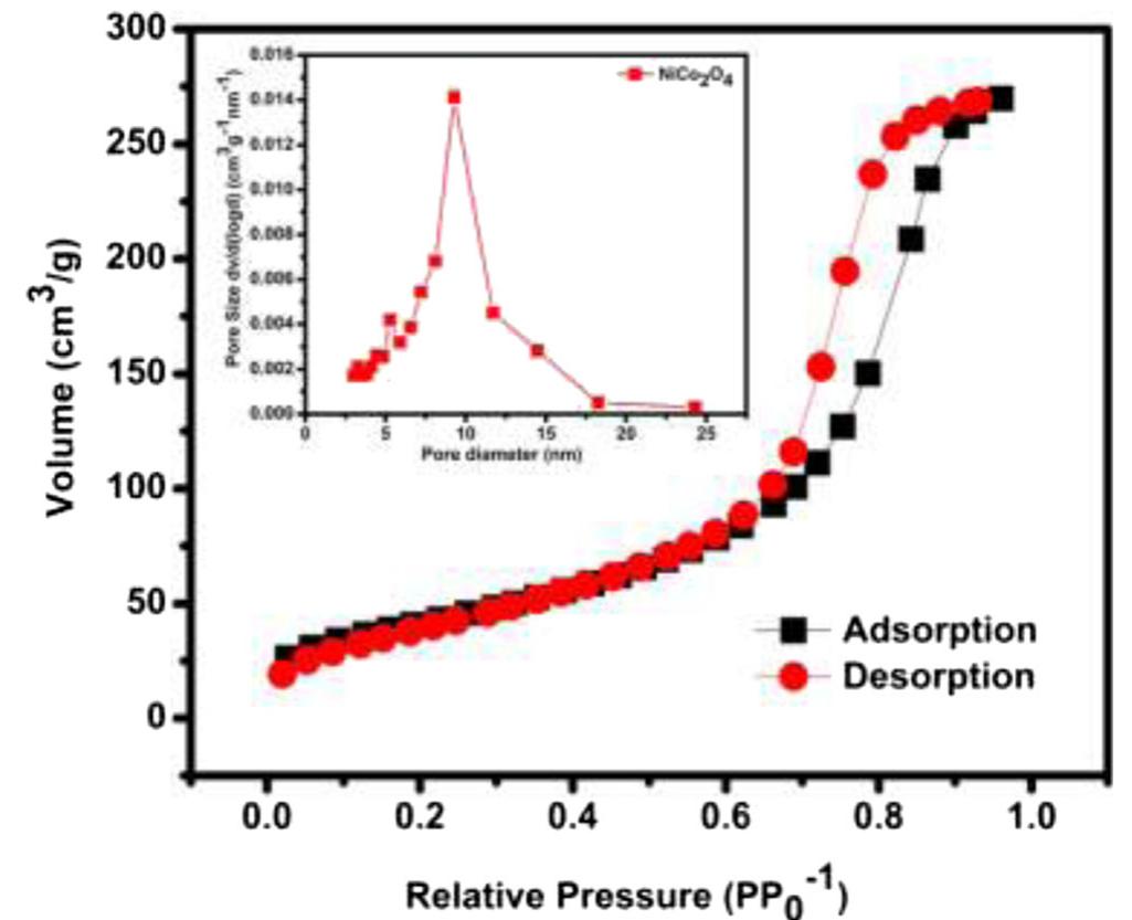N> adsorption-desorption isotherm of glycine-assisted nico