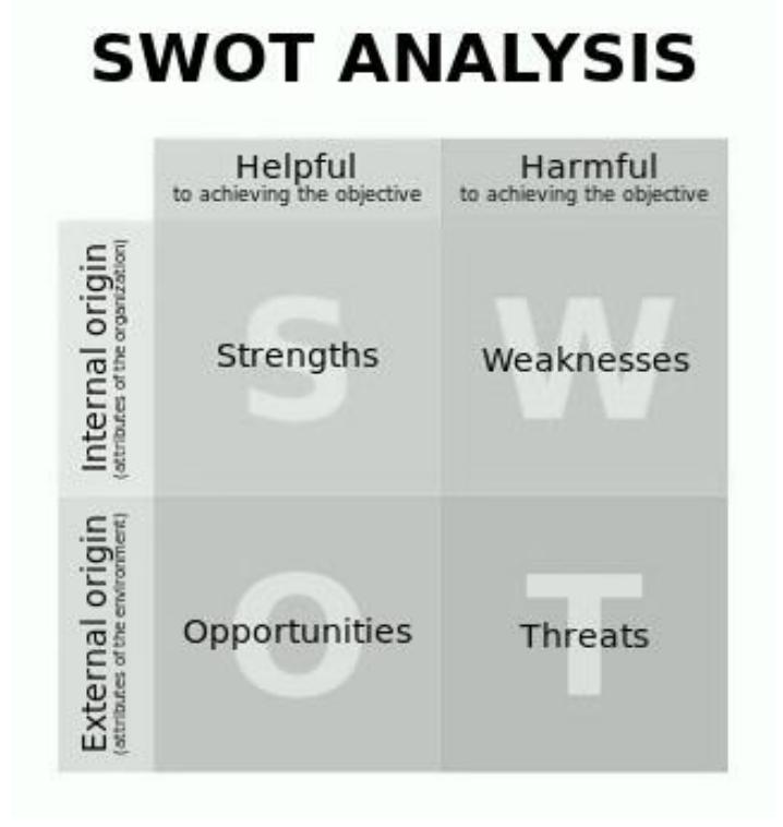 Swot analysis is based on hard facts, not speculation