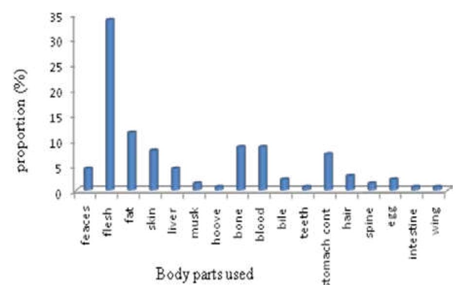 | proportion of body parts used during preparation
