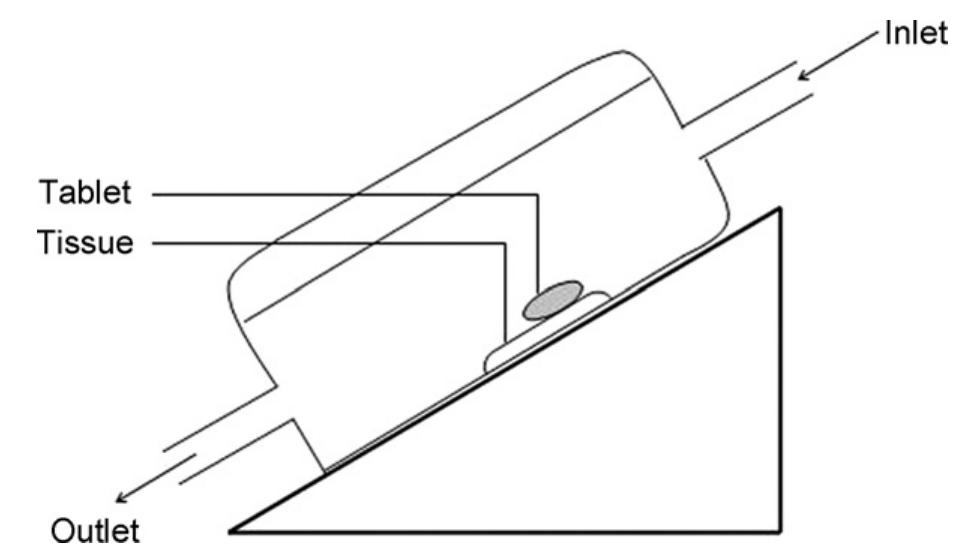 Schematic drawing of the dissolution apparatus used by