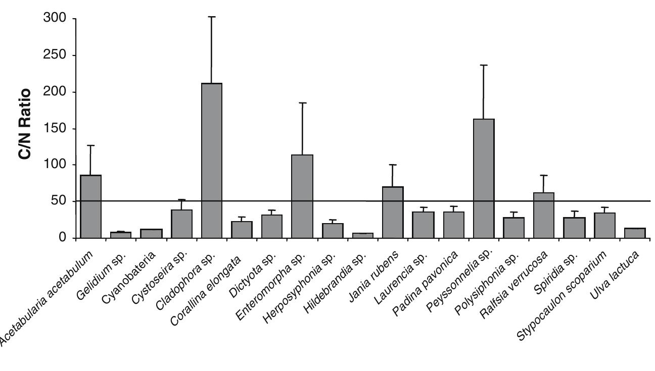 Mentous algae, but articulated coralline, of the genera