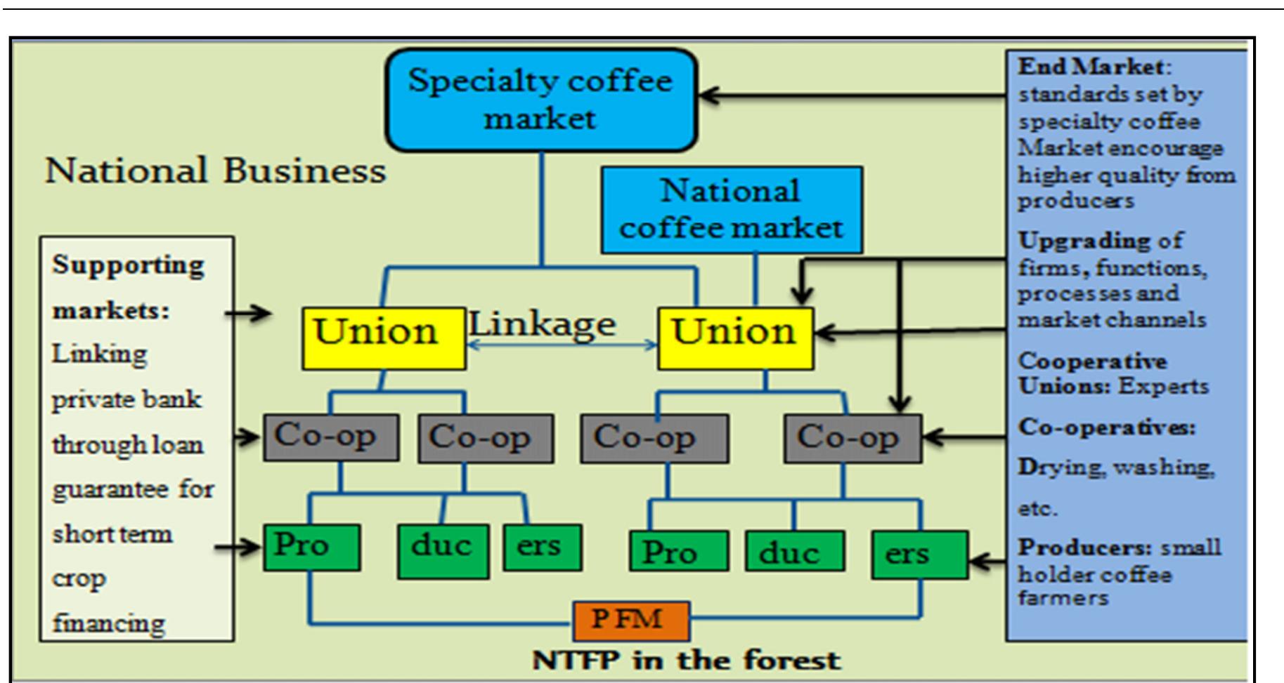 Ethiopian wild forest coffee value chain through the