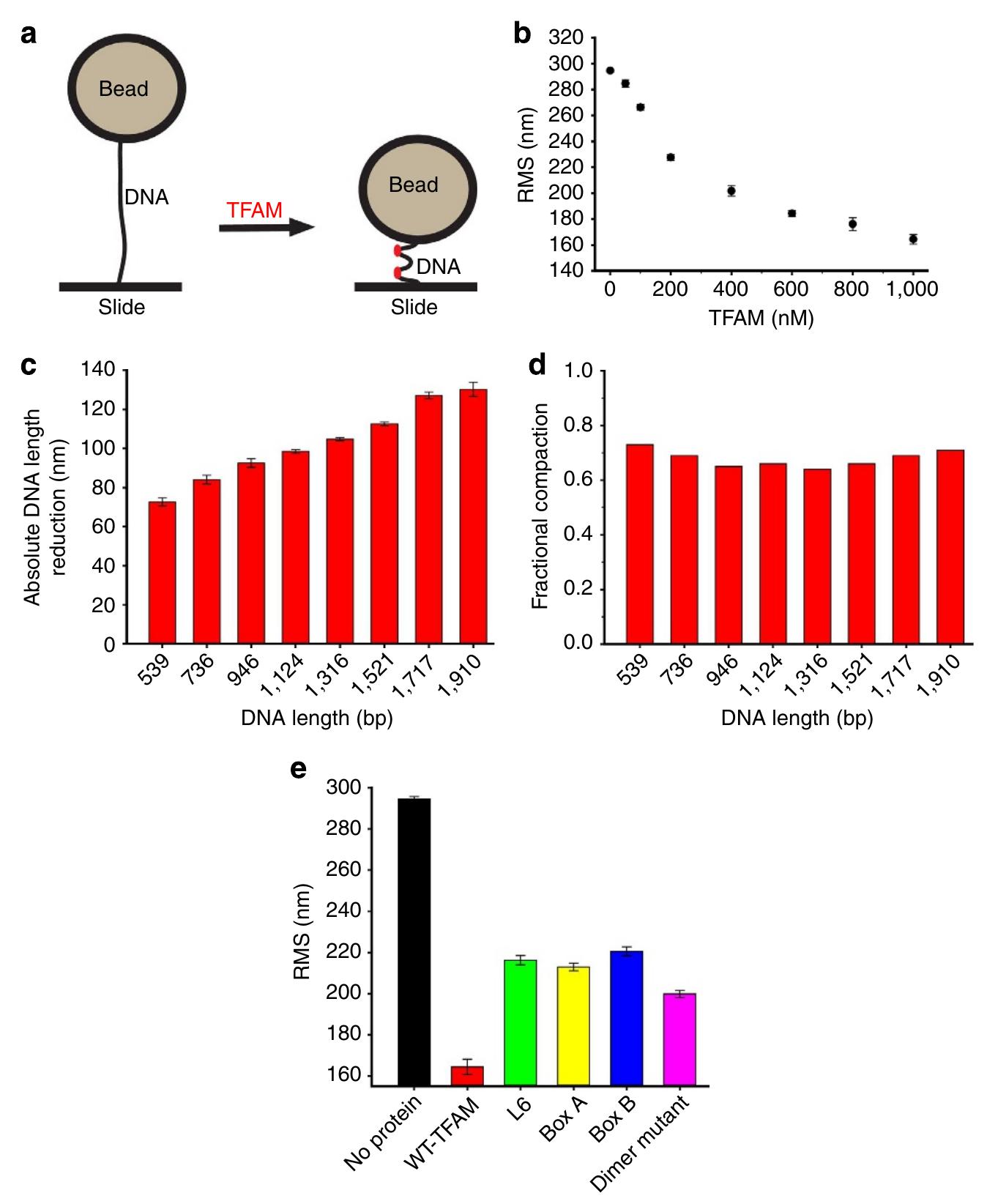 | structural determinants of dna compaction. (a) a schematic