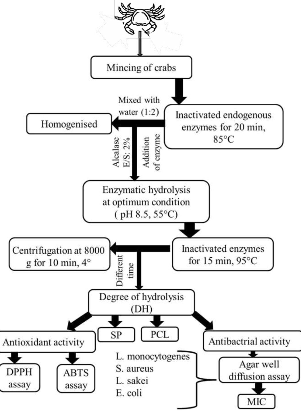 Flow diagram of the crab hydrolysis process and