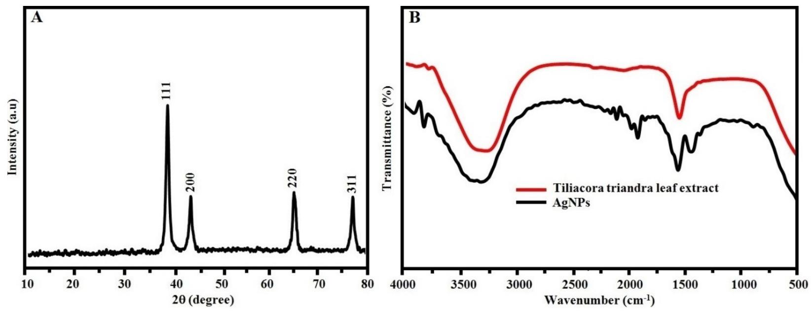 (a) xrd pattern and (b) ftir spectra of the agnps and