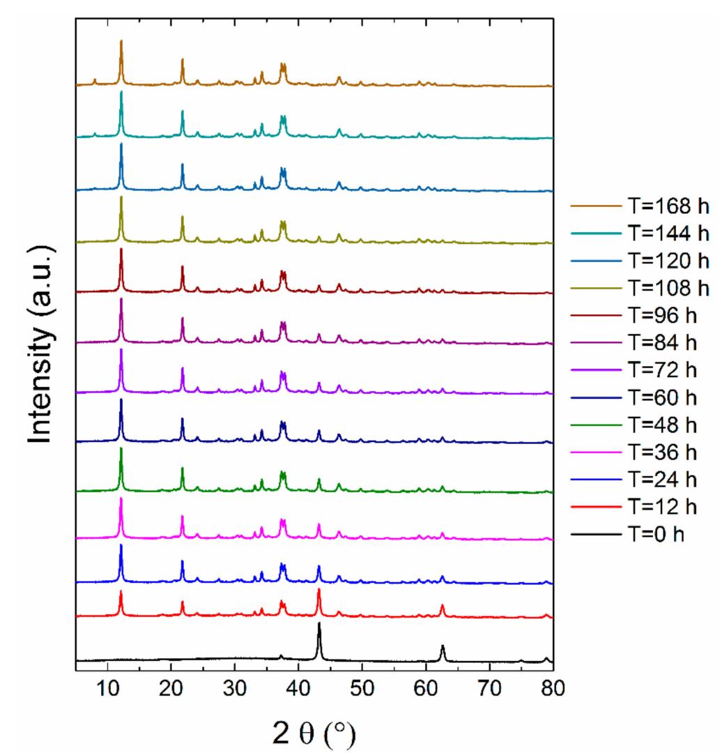 X-ray powder diffraction (xrd) measurements of magnesium