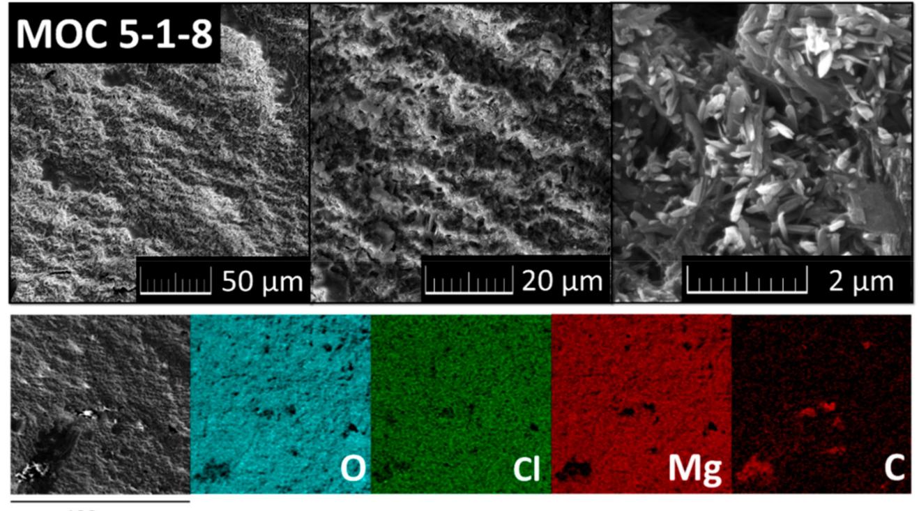 Scanning electron microscopy micrographs and Scanning electron microscopy micrographs and