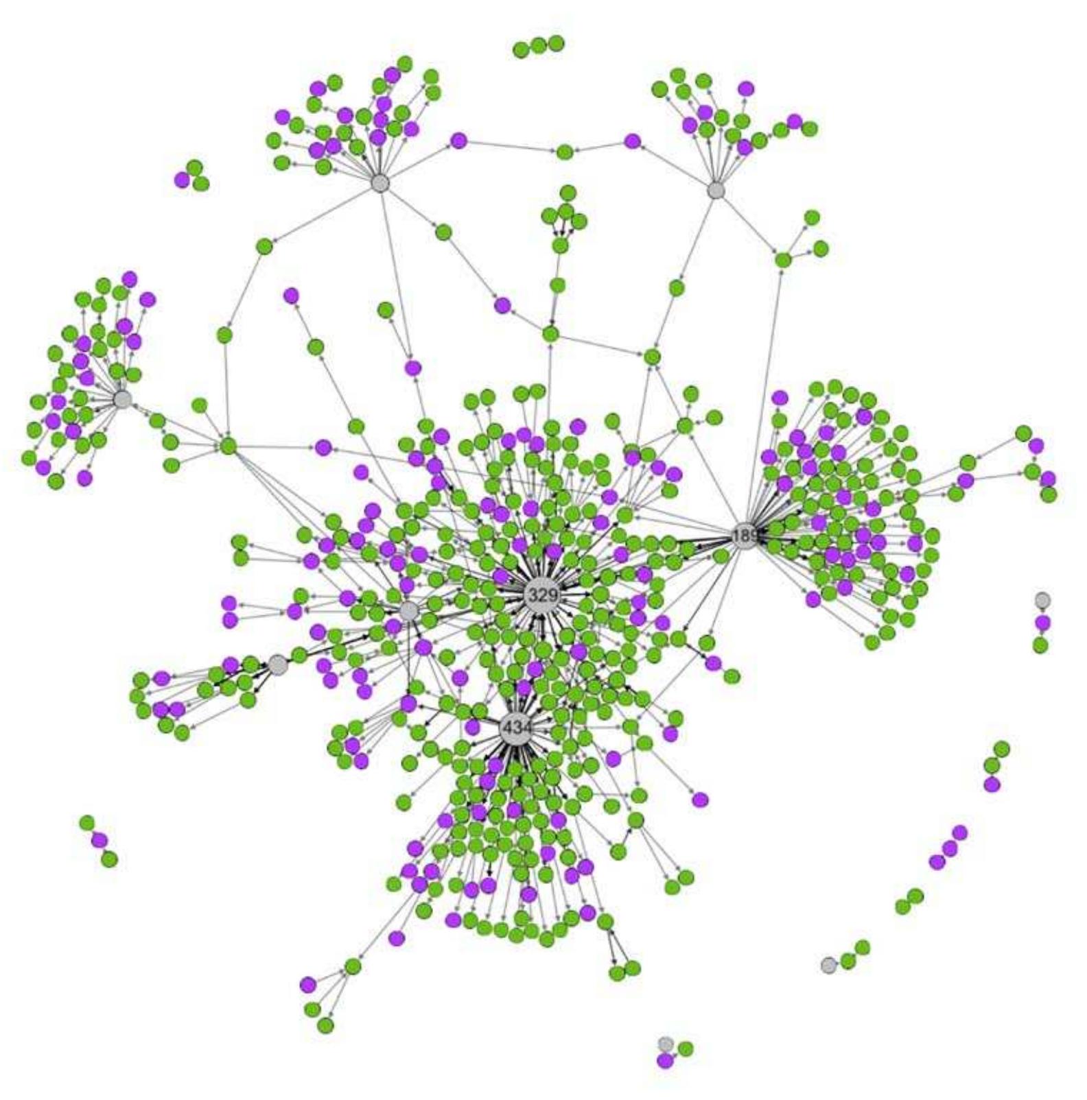 Social seed network map showing the central role of local