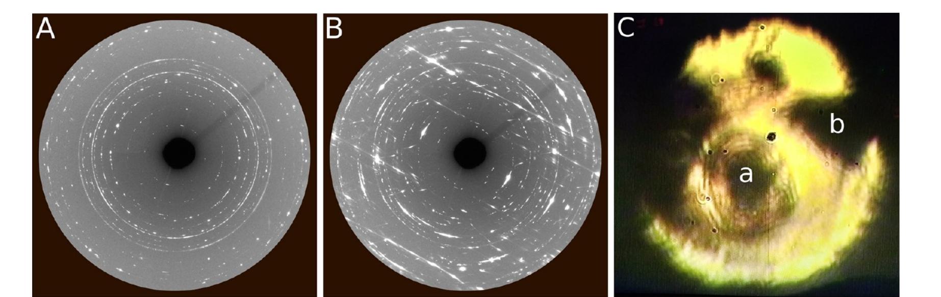 (a and b) detector diffraction images acquired in the sample