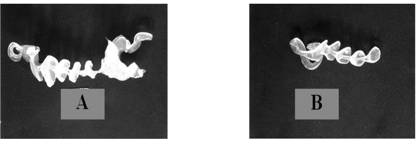 Figure 1 - from Development of Trans-Cervical Artificial