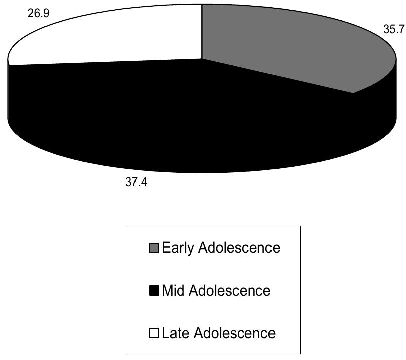 1 pie diagram showing the respondents by their stages of