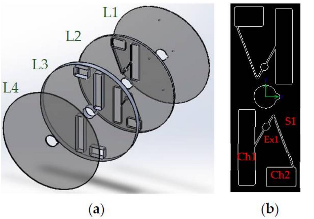 Schematics of the layers of the gel-disk. (a) disk pmma