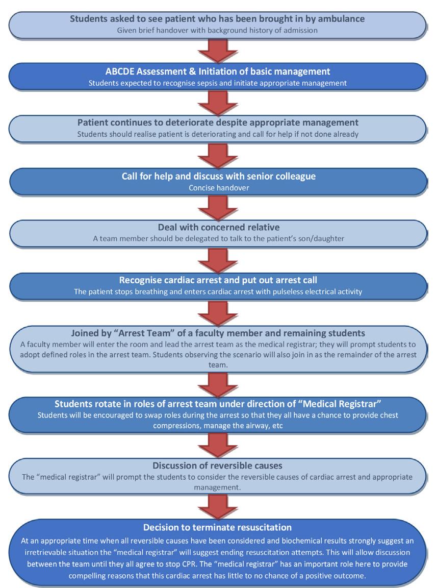 A flowchart showing the typical progression of the