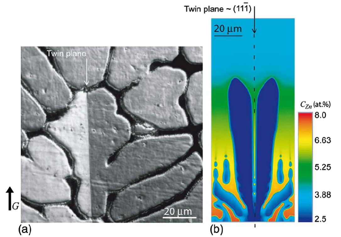 (a) longitudinal section of a quenched (110) twinned