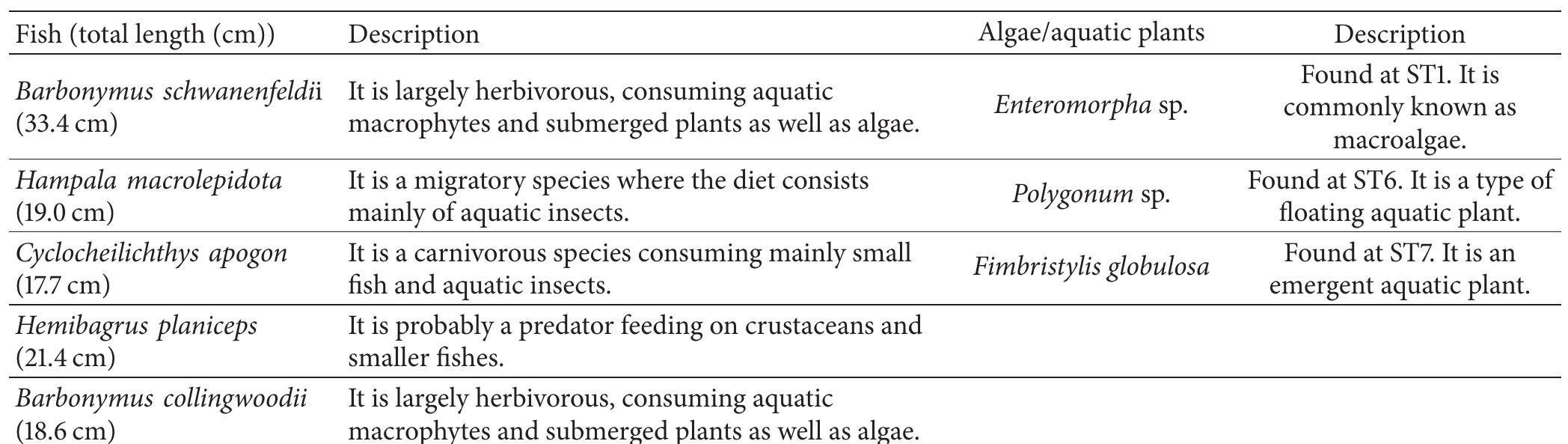 Summary of species of macroalgae, aquatic plant, and fish