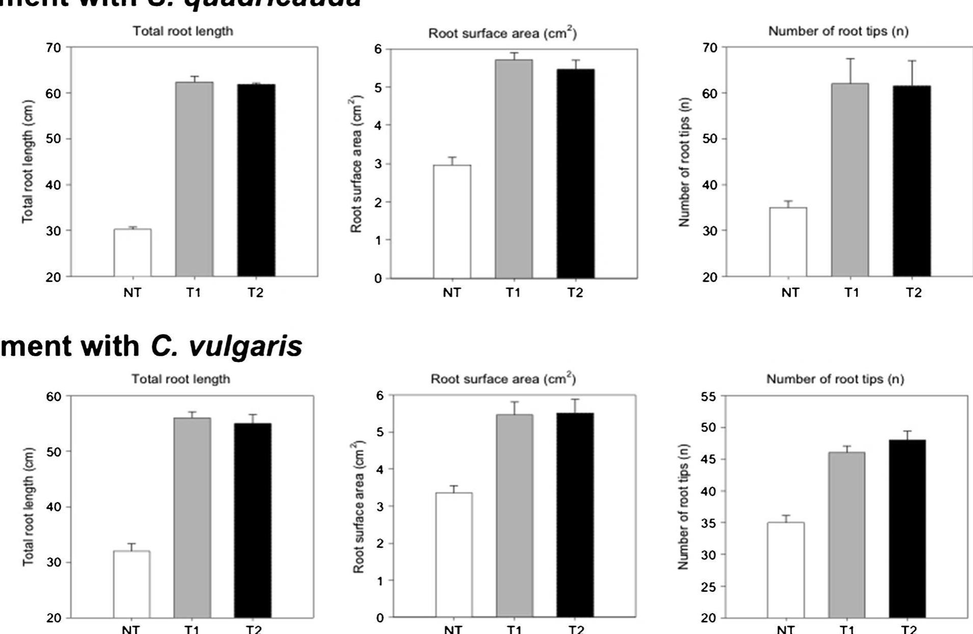 Total root length, root surface area, and number of root