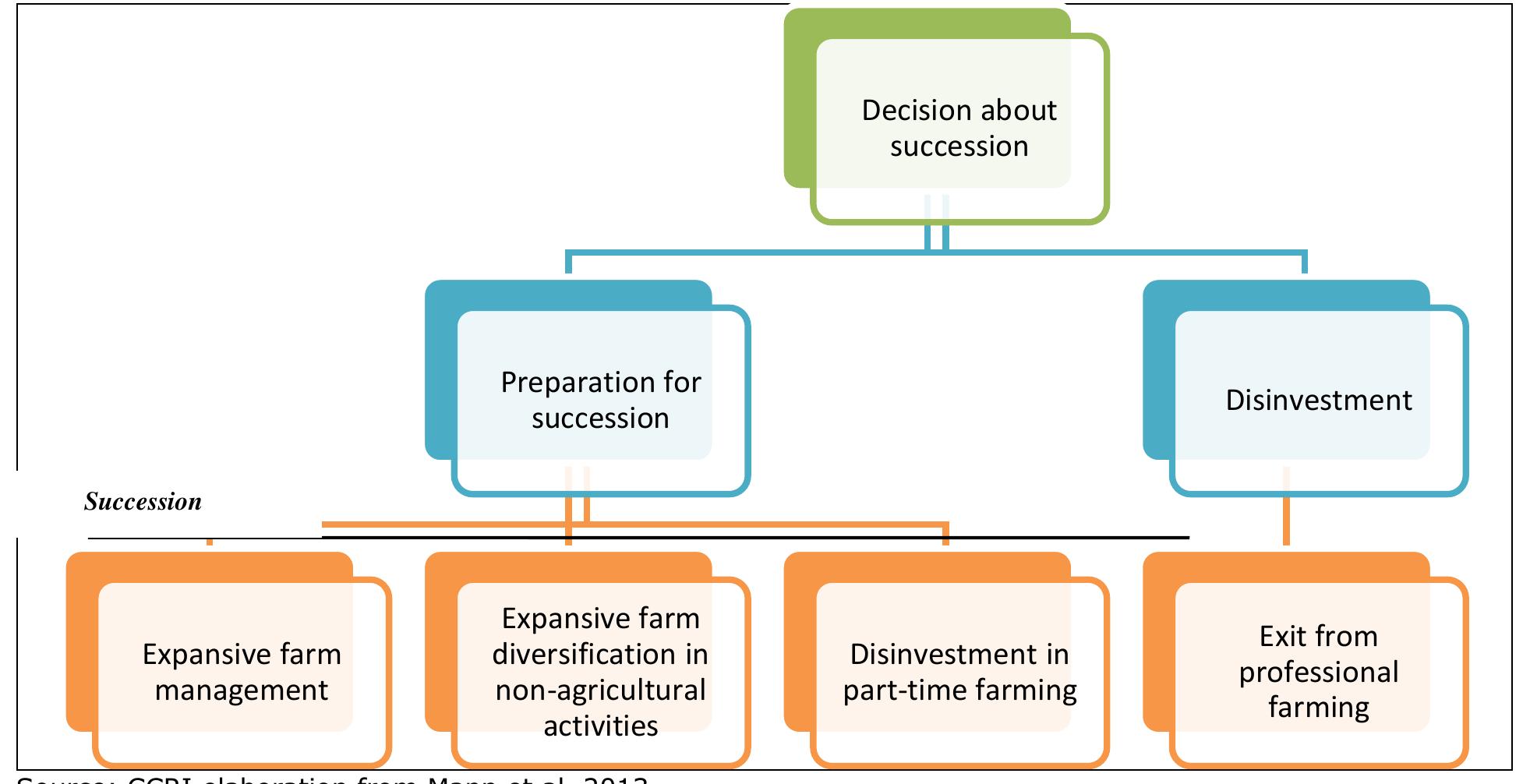 Theoretical model of succession decisions