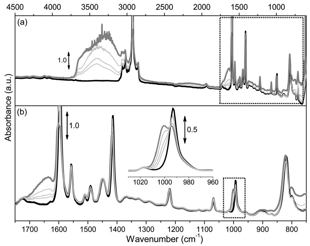 Ftir spectra of the p4vp/h20o system as a function of the