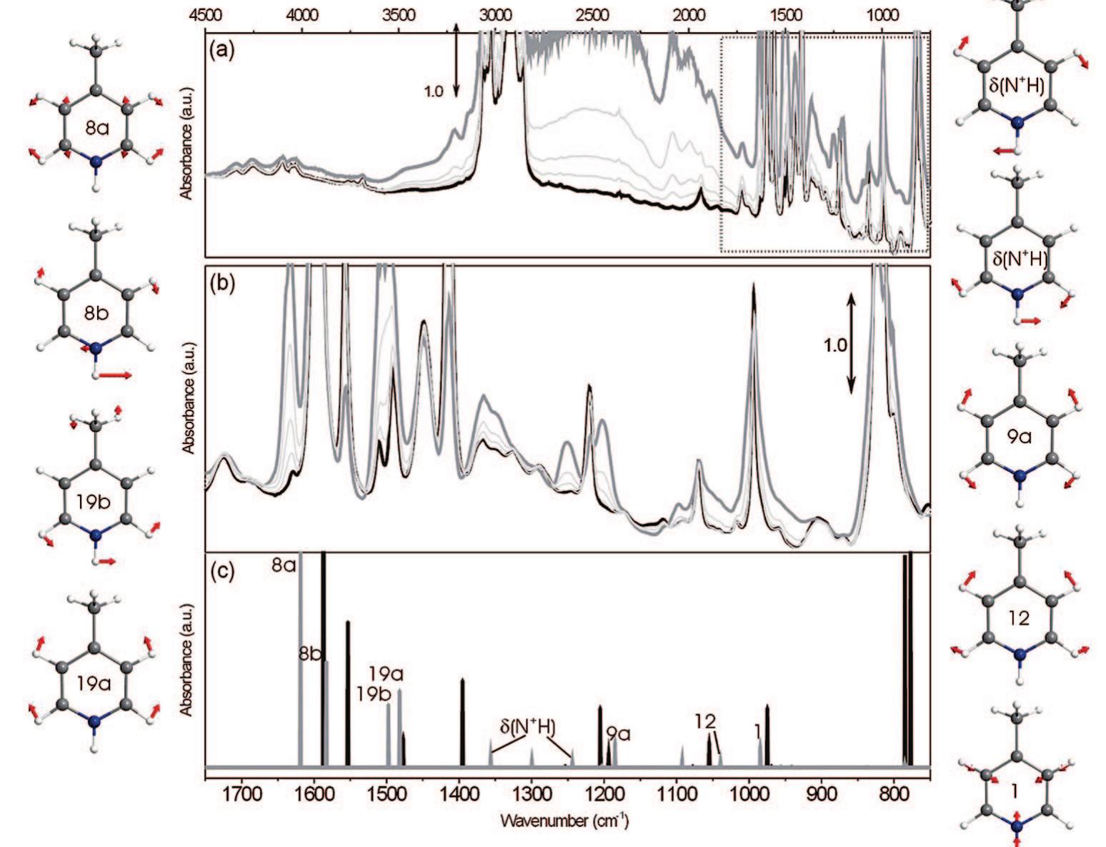 Experimental ftir spectra of the p4vp/hci system as a