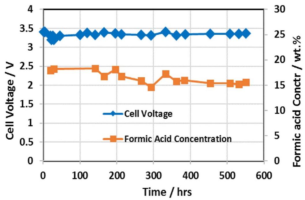 First extended run formic acid cell performance using