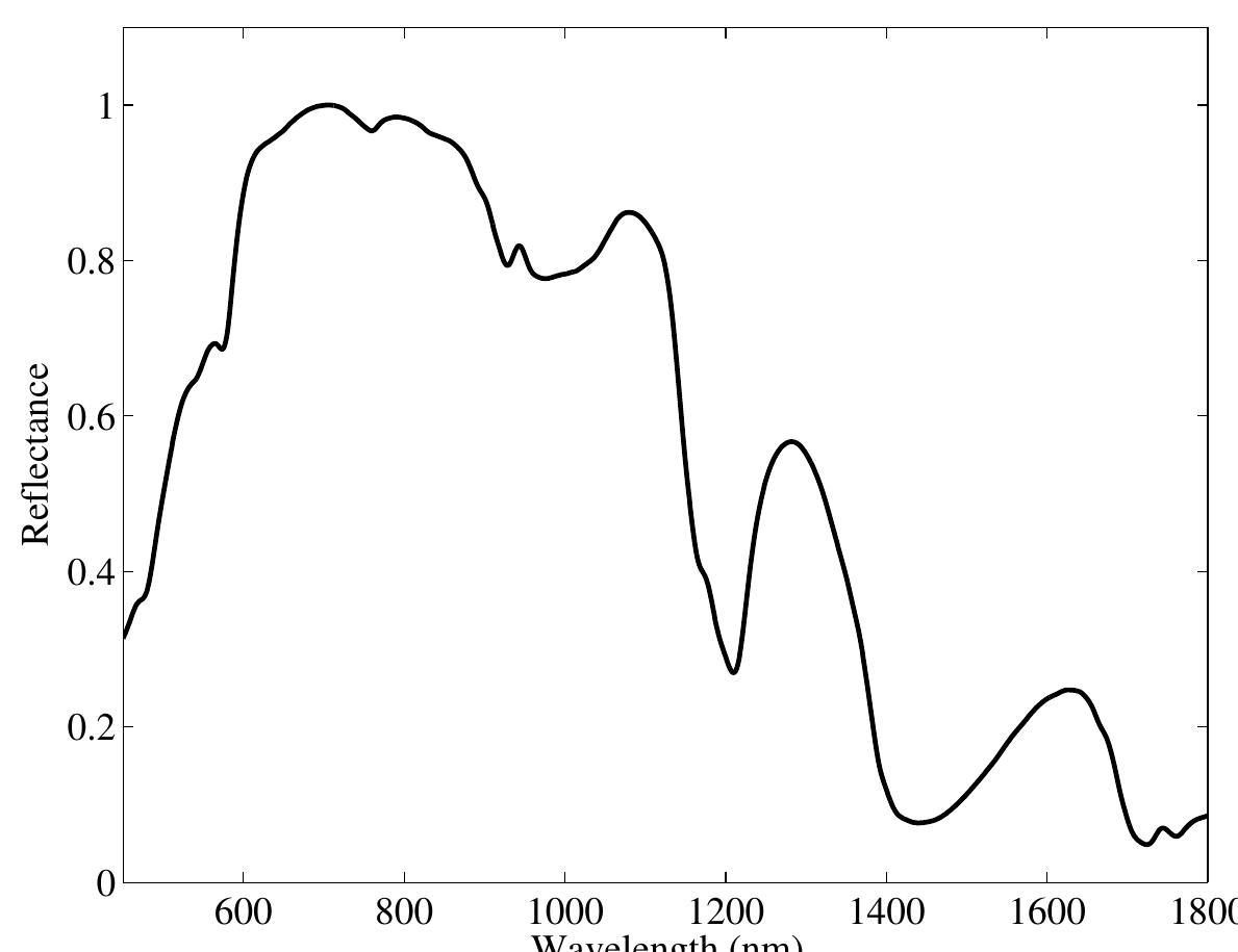 Figure 16 - A Physical Model of Human Skin and Its