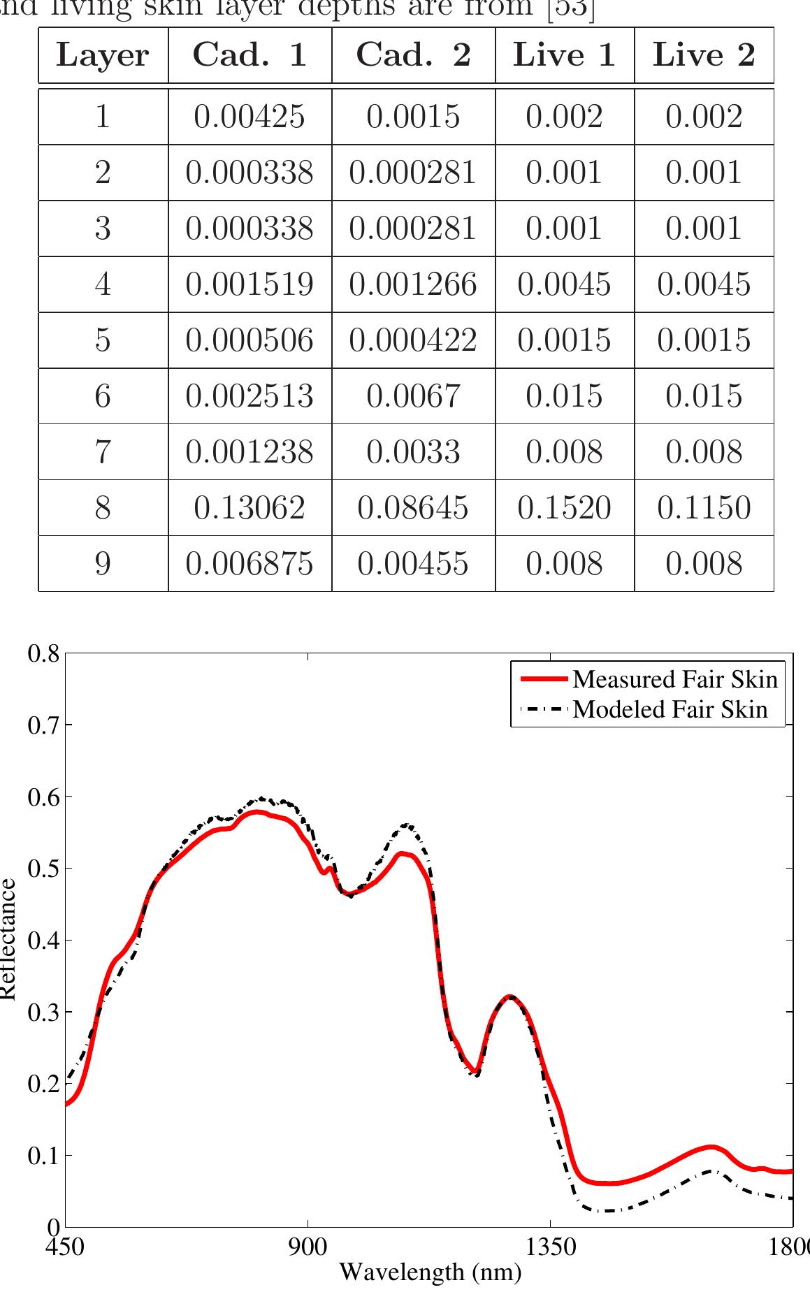 Sample comparison of modeled and measured cadaver thin type