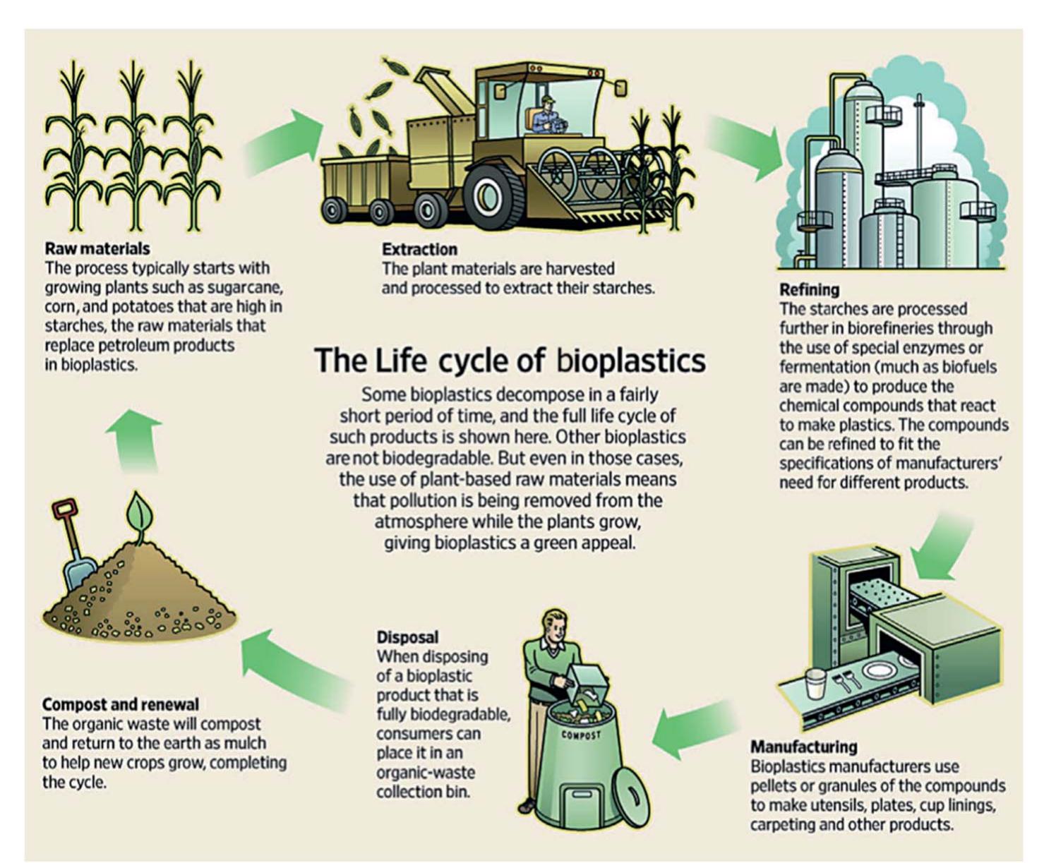 Life cycle of bioplastics.7* biodegradable. not all