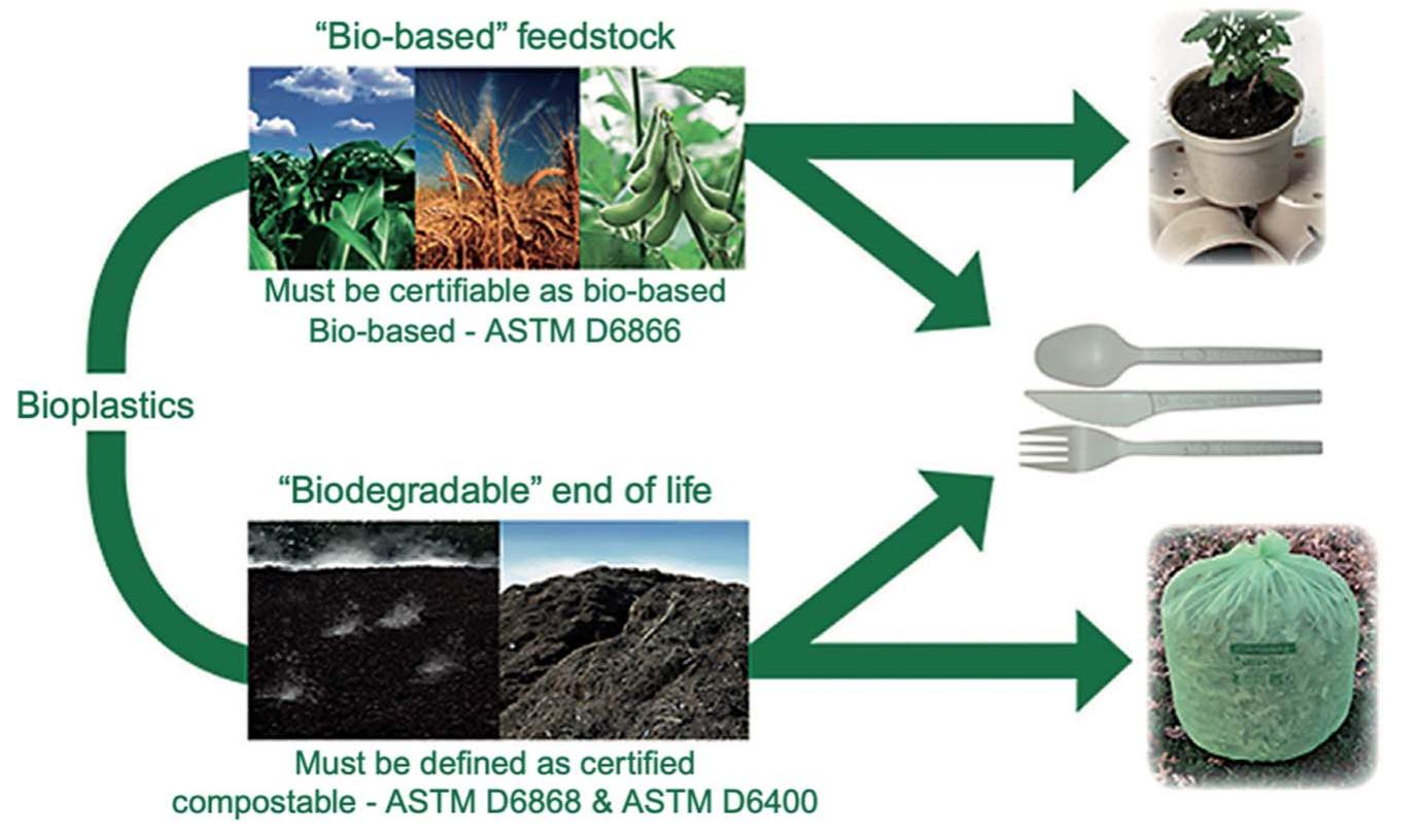 Difference between bio based and biodegradable