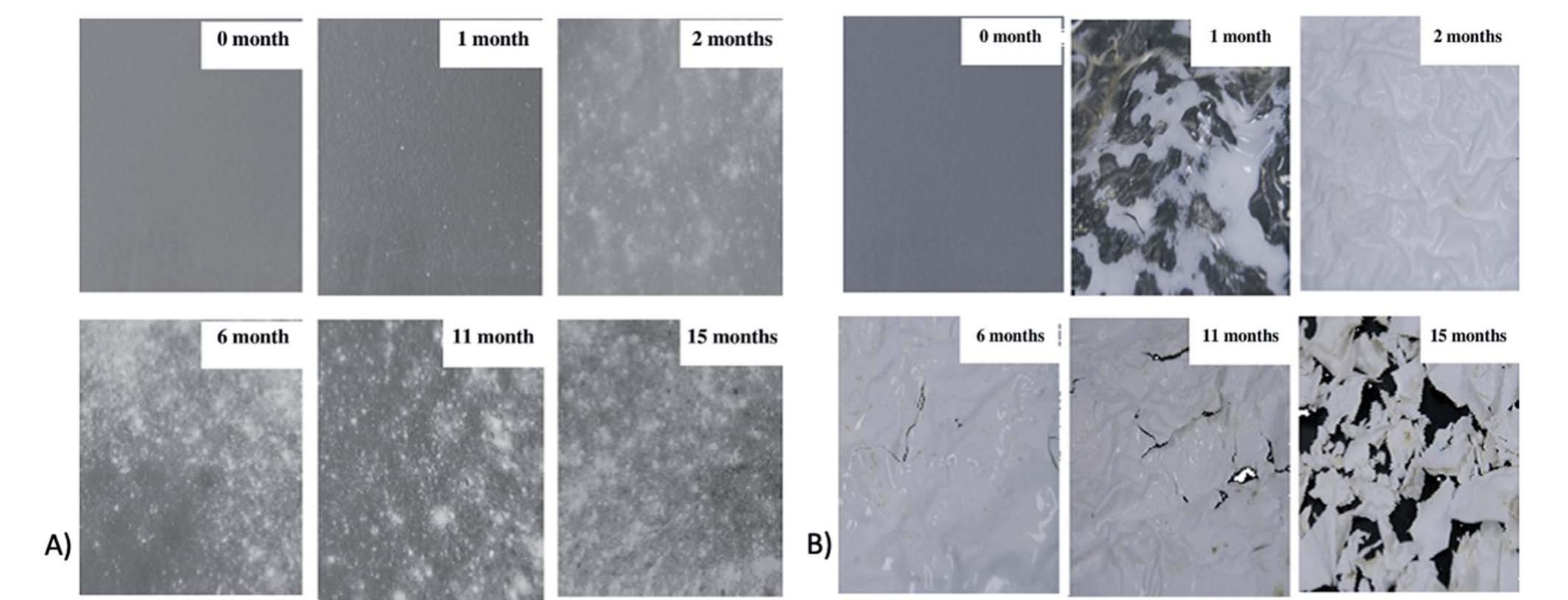 Pla sheets’ degradation under: (a) wastewater treatment