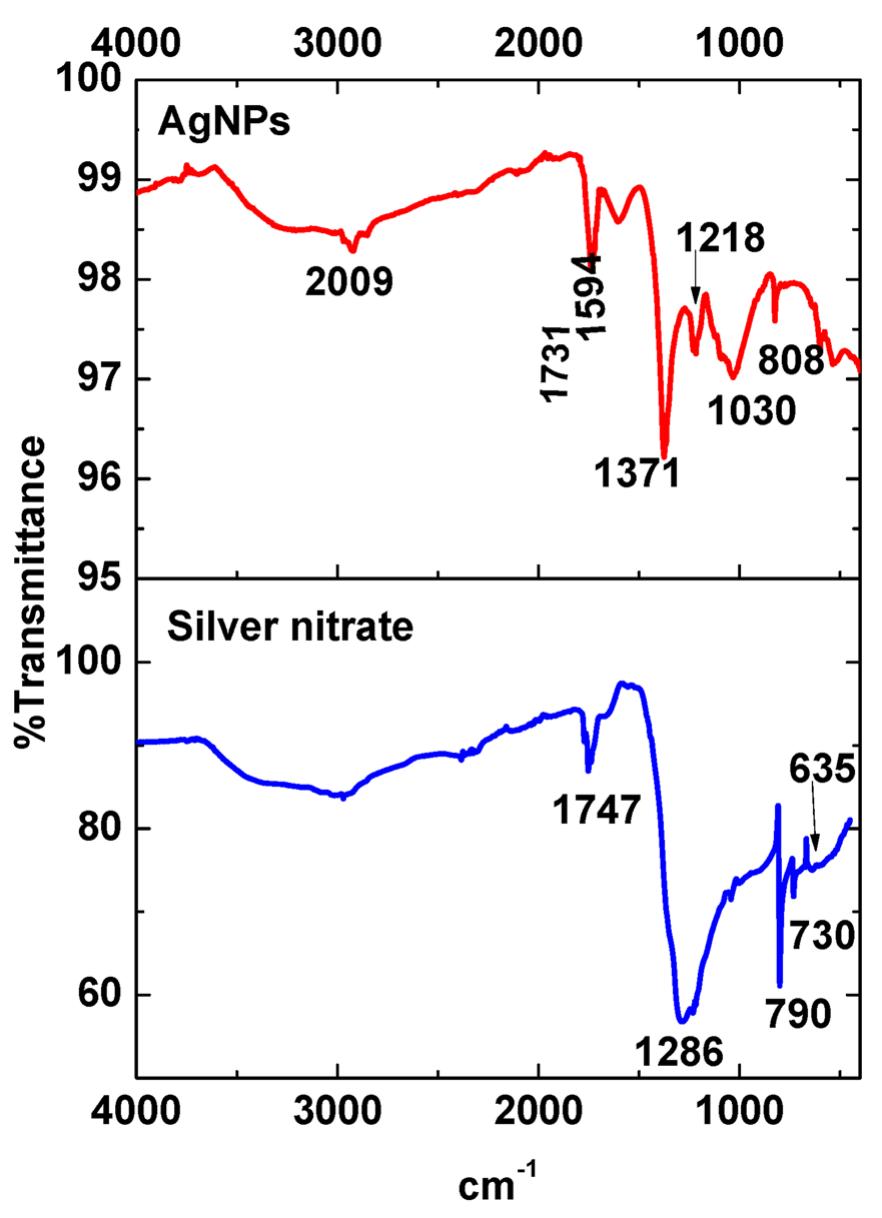 Representative ftir spectra of biosynthesized agnps and