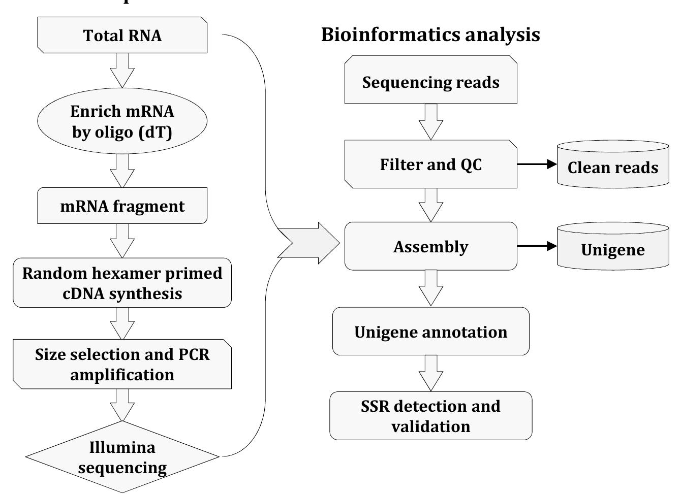 Schematic overview of a de novo transcriptome sequencing and