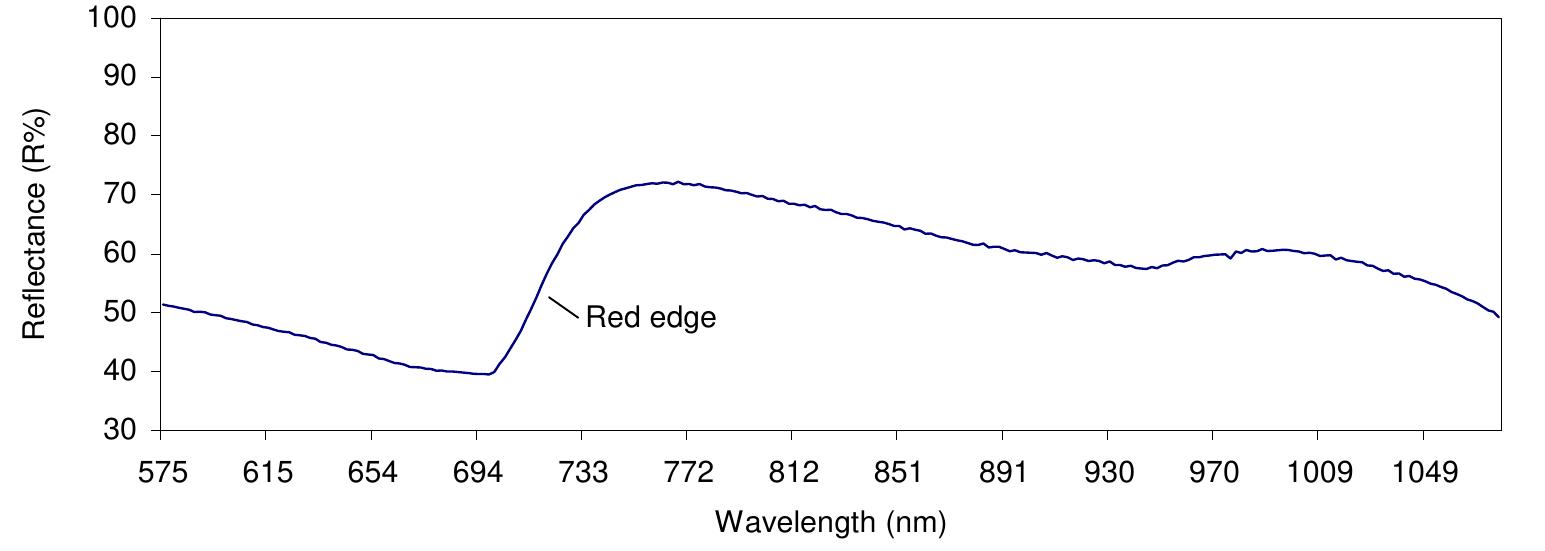 Prior to sample diffuse reflectance measurement of a sample,