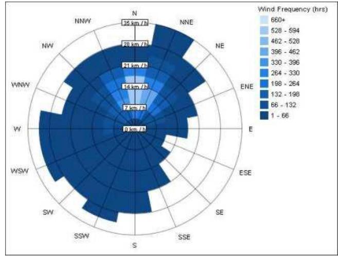 The annual wind rose, frequency direction (revit simulation)