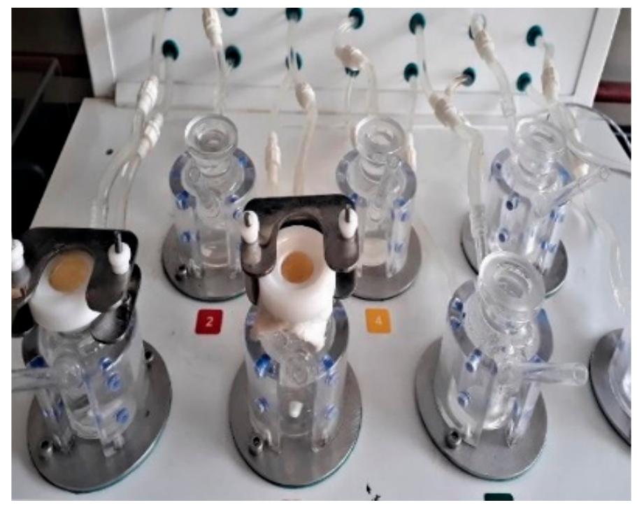 Modified vertical franz diffusion cell apparatus. an