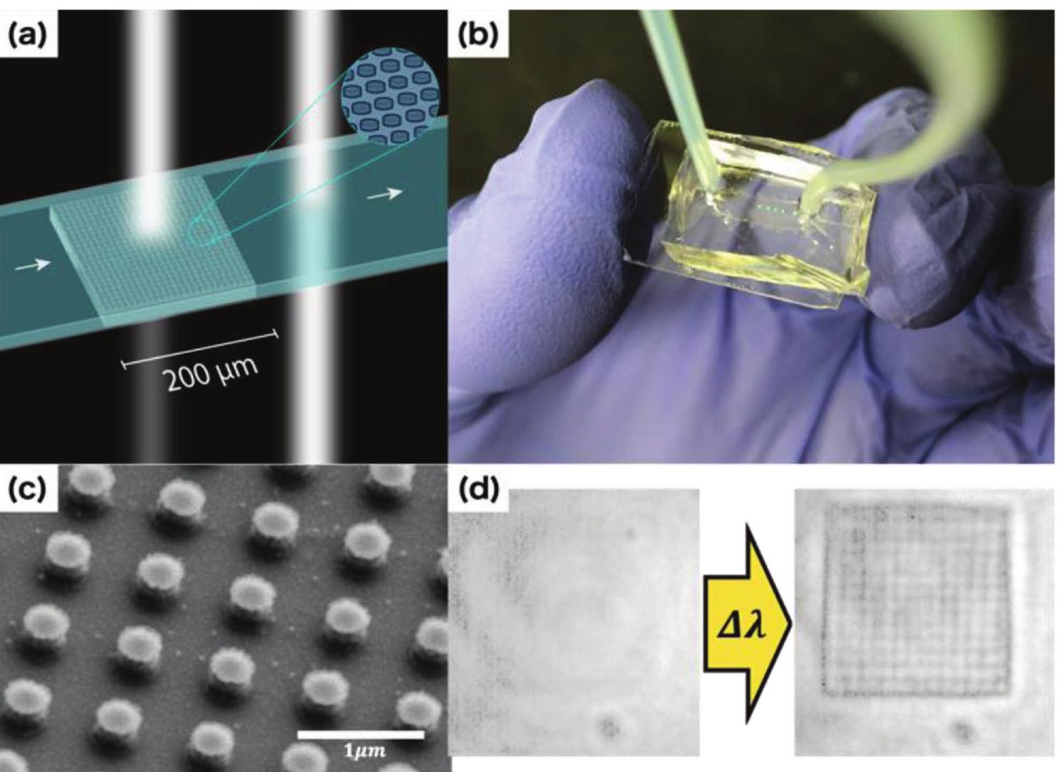A) diagram of the metasurface sensing device, depicting a