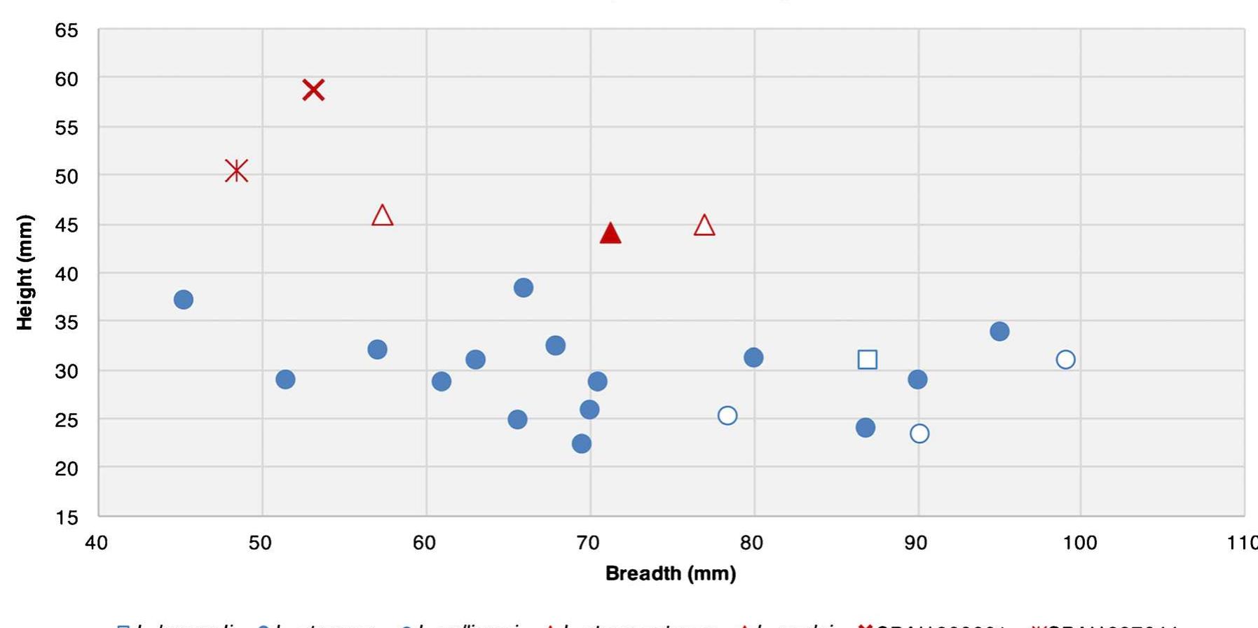 Scatter plot showing the relationship between breadth and