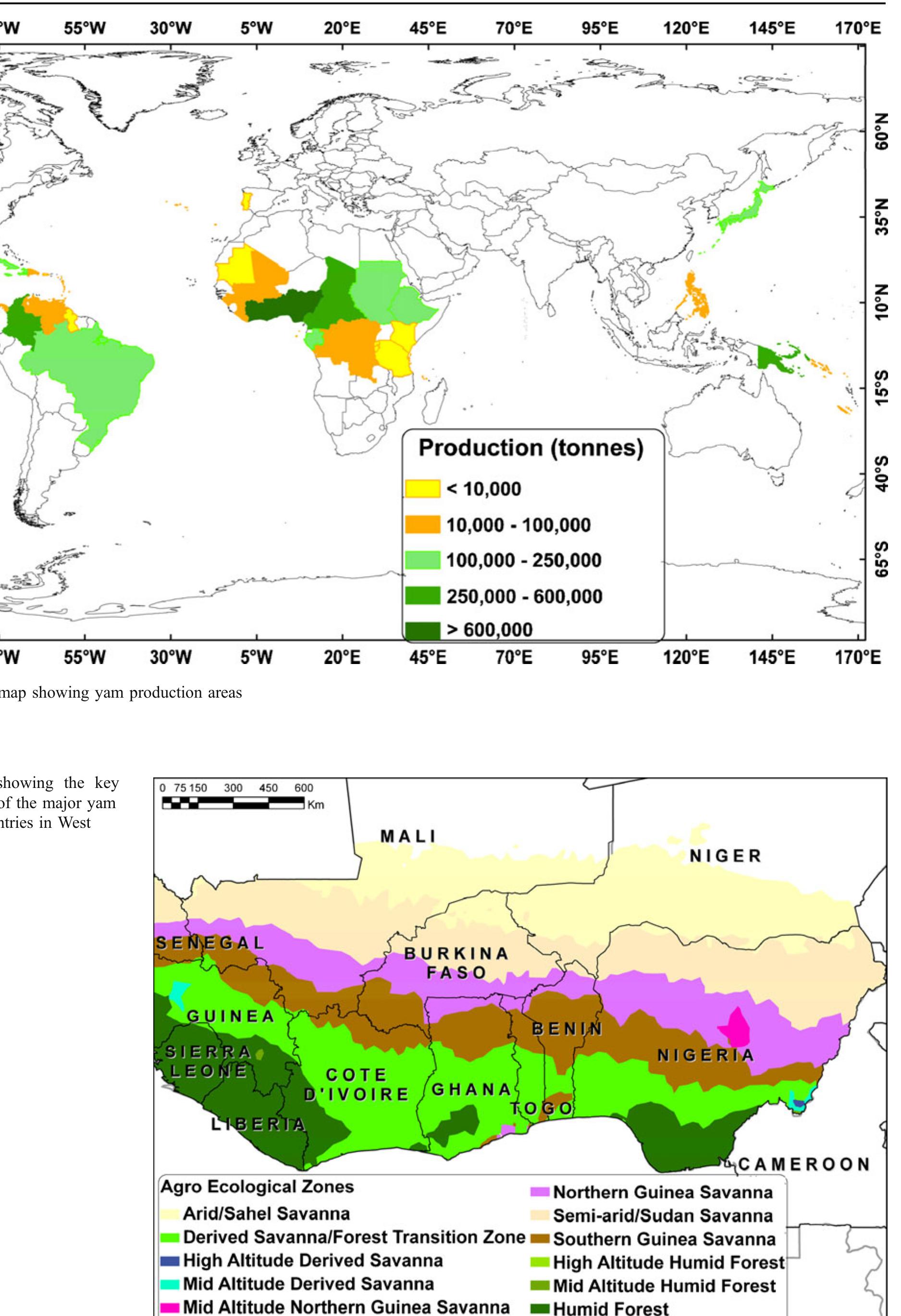 Figure 1 - Crops that feed the World 1. Yams