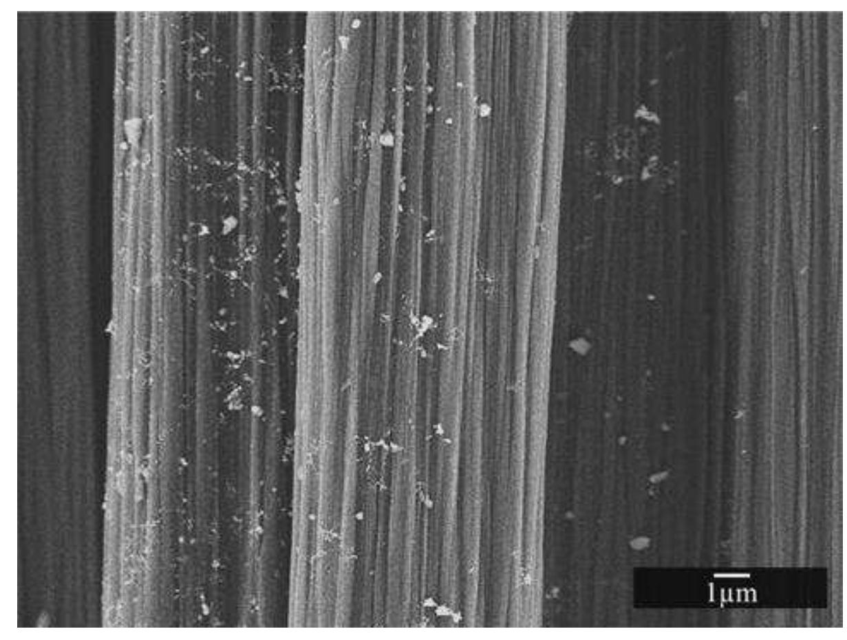 -3. sem image of the cnt growth using methane as a carbon