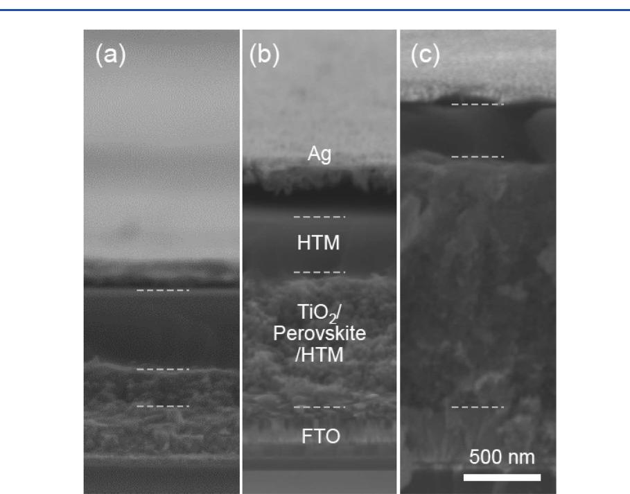 Shows typical cross-sectional scanning electron microscopy