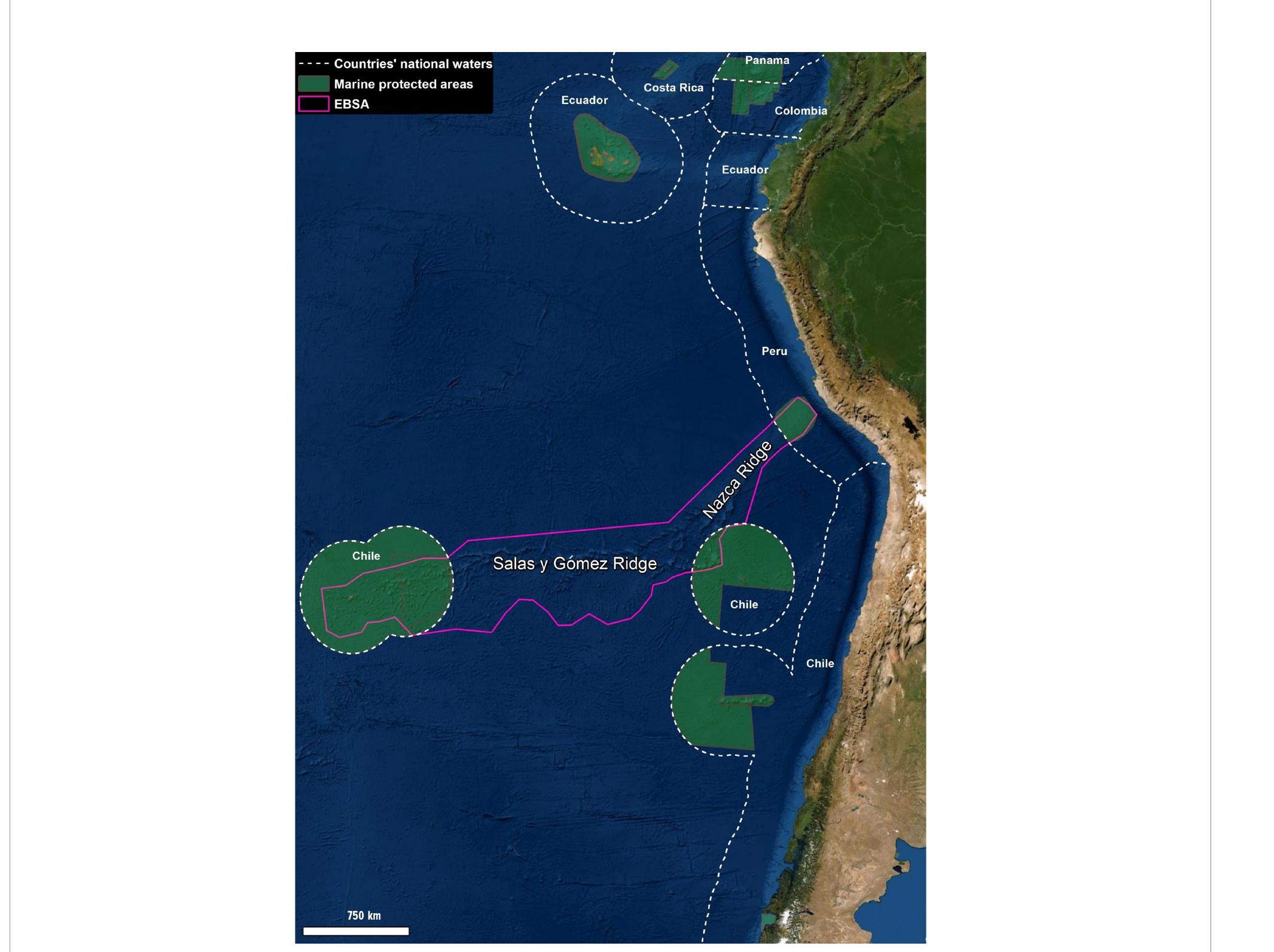 Map showing the location of mpas around the salas y gomez