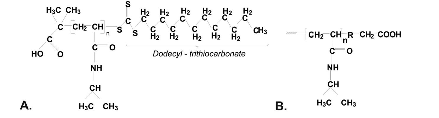 Chemical structure of the two pnipaam species used to graft