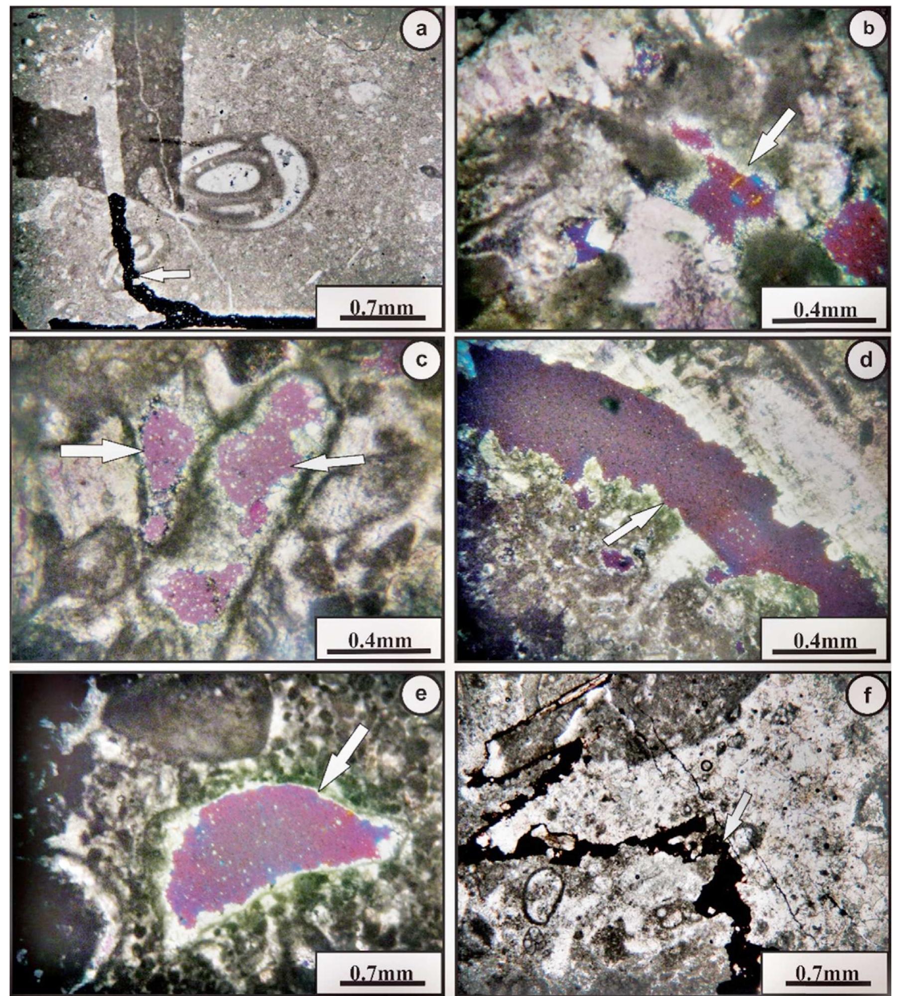Photomicrograph of porosity types of sarvak formation facies